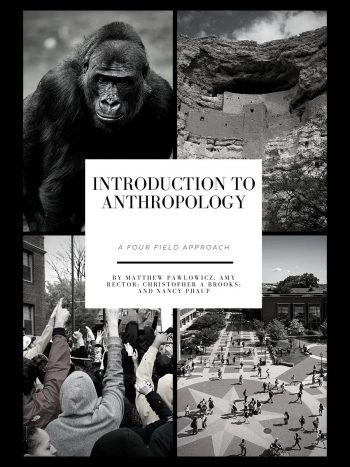 Introduction to Anthropology: A Four Field Approach – Simple Book ...